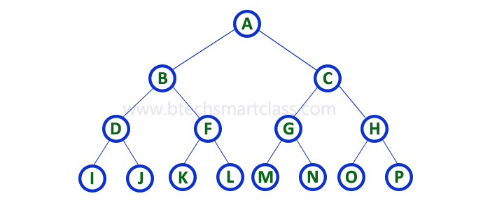 Data Structures Tutorials Binary Tree With An Example